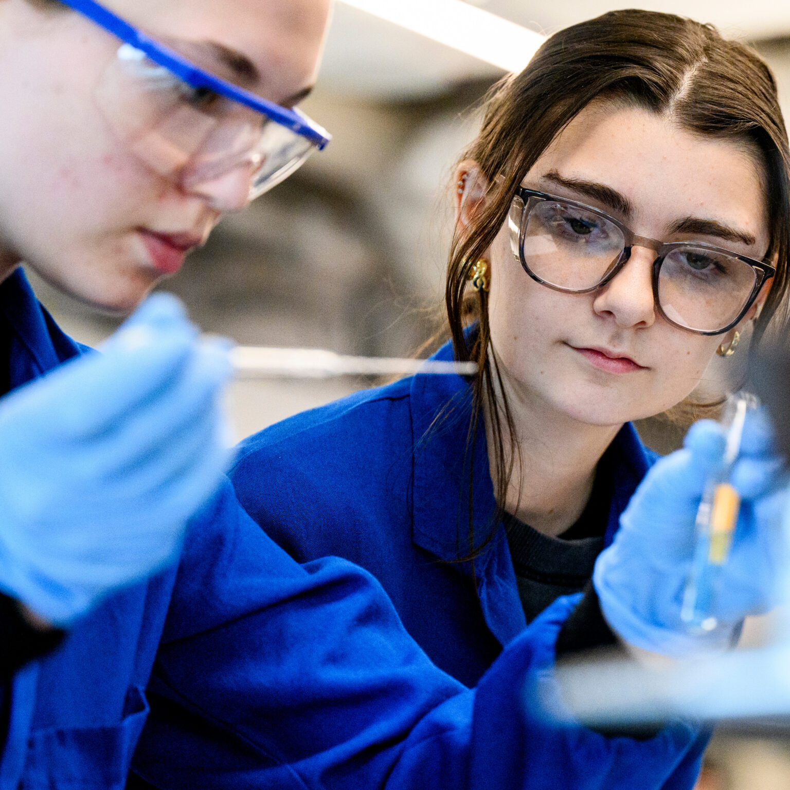 Programs - The Mills Institute