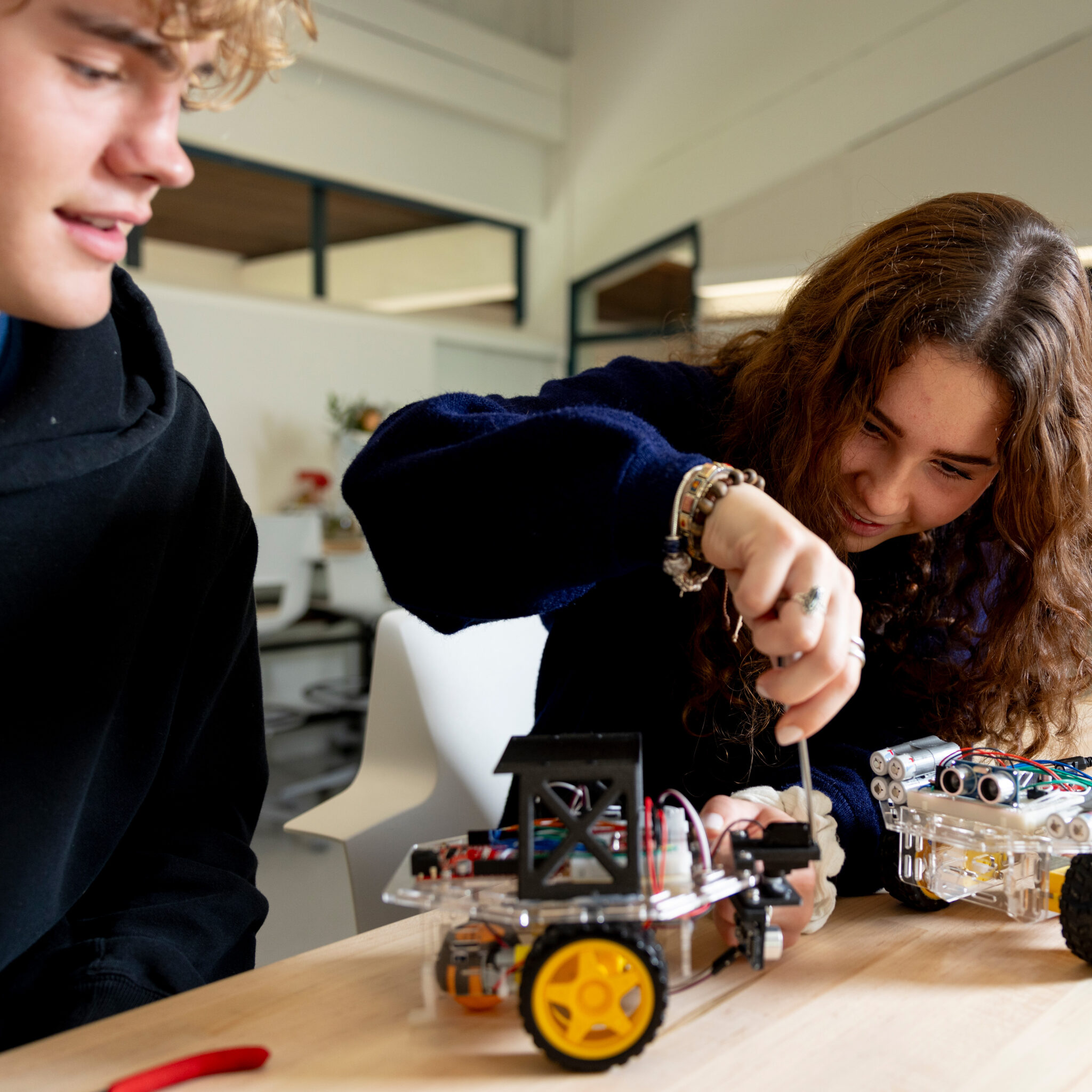 Partnerships - The Mills Institute