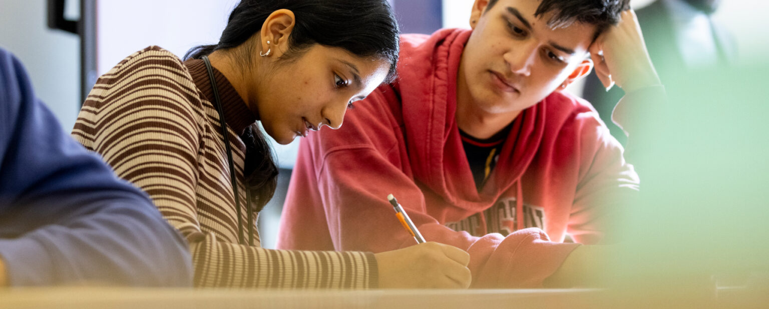 Programs - The Mills Institute